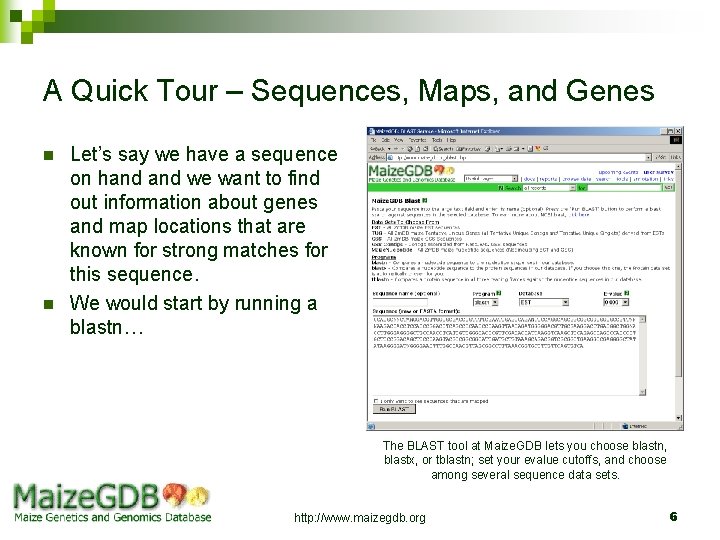 Maize GDB A Next Generation Maize Database What