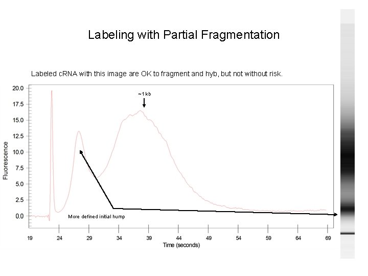 Interpretation Of Agilent 2100 Bioanalyzer Data Intact Total