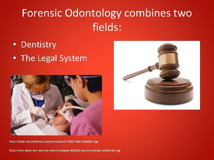 TAKE A BITE OUT OF CRIME FORENSIC ODONTOLOGY