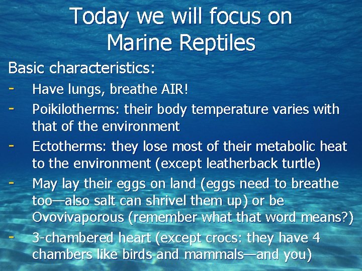 Chapter 11 1 Marine Reptiles bkgdComstock ImagesPicture Quest