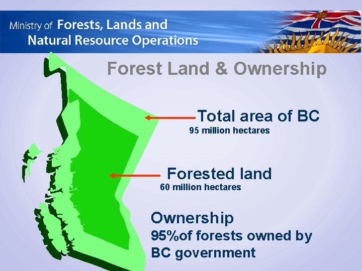 Li DAR Enhanced Forest Inventory in British Columbia