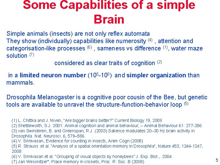 IJCNN 2010 Panel Between Bottomup and Top Down