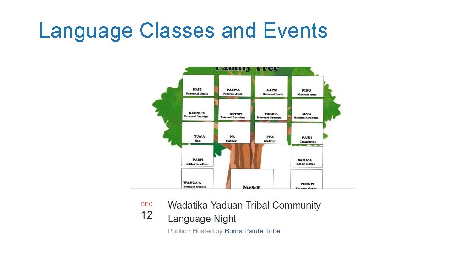 GRADE 4 LESSON Language Revitalization Native American Tribes