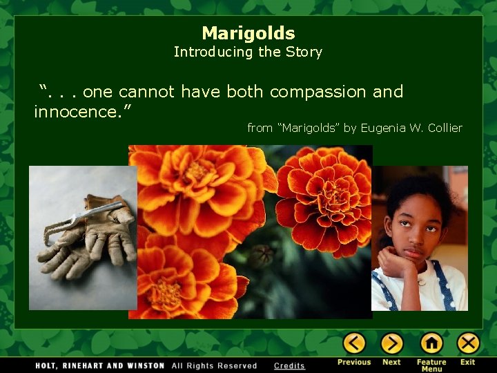 Marigolds by Eugenia W Collier Feature Menu Introducing