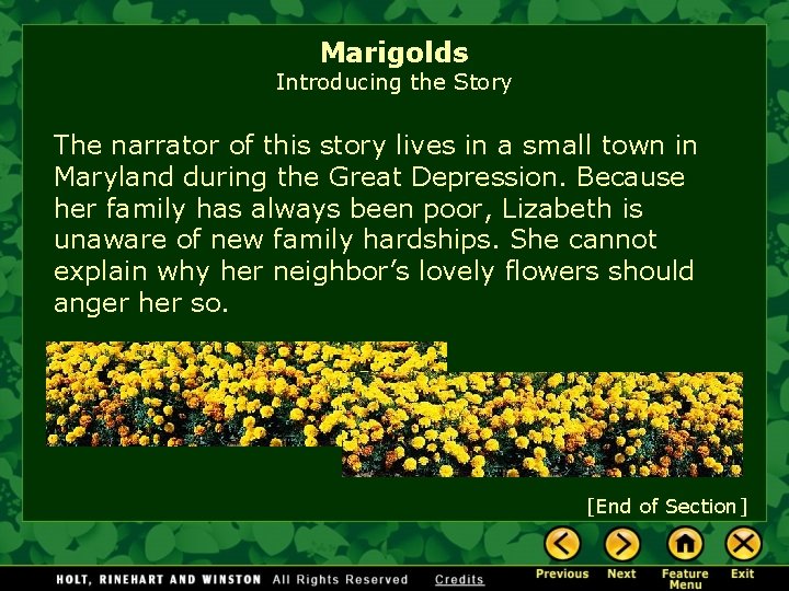 Marigolds by Eugenia W Collier Feature Menu Introducing