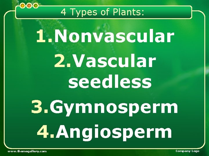 Plant Kingdom Objective 4 01 4 02 Analyze