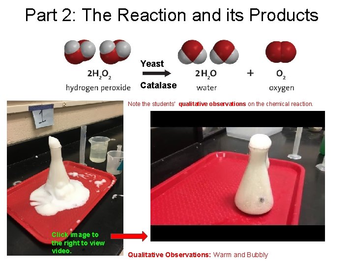 JFK 7 th Grade Science During this lab