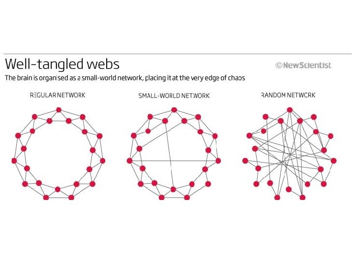 Complex brain networks graph theoretical analysis of structural