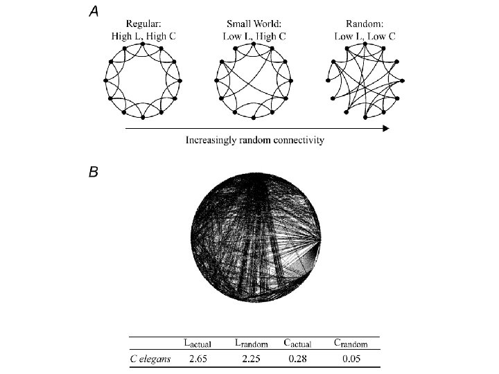 Complex brain networks graph theoretical analysis of structural