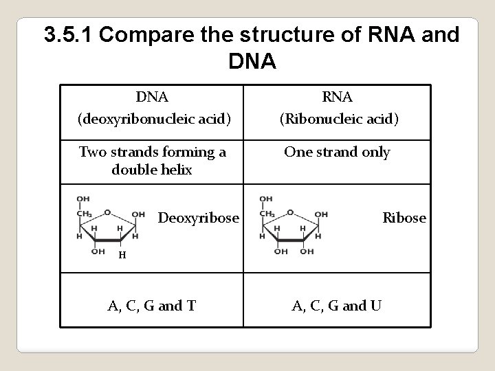 Central Dogma of Biology How does the information