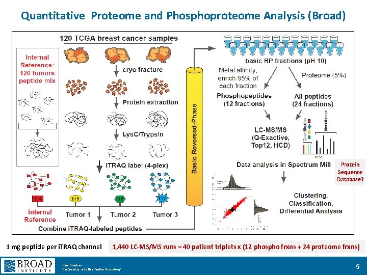 Breast Cancer Proteomics and the use of TCGA