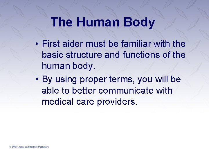 Chapter 3 The Human Body The Human Body