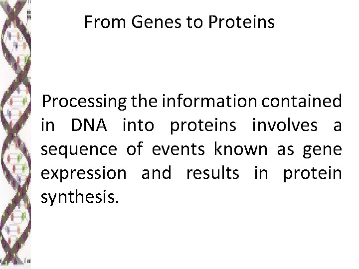 Protein Synthesis Ordinary Level Lesson Objectives At the
