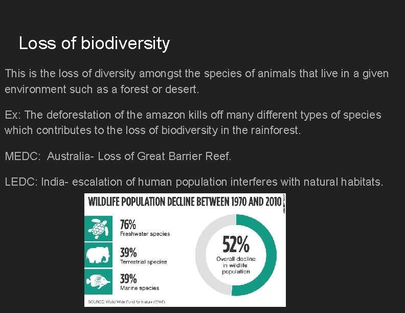 Impact of Human Activity on Ecosystems By Orlando