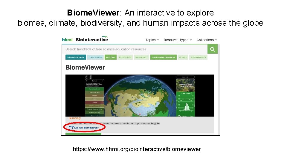 Exploring Global Patterns in Temperature and Precipitation with