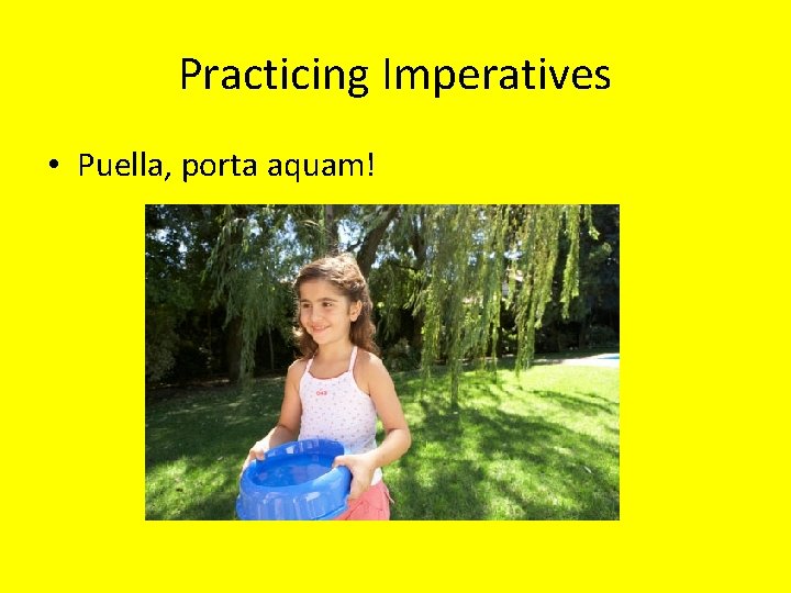 Lesson 9 Imperatives Latin I Jan 21 Feb