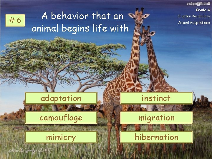 Animal Adaptations Grade 4 Chapter Vocabulary Choose a