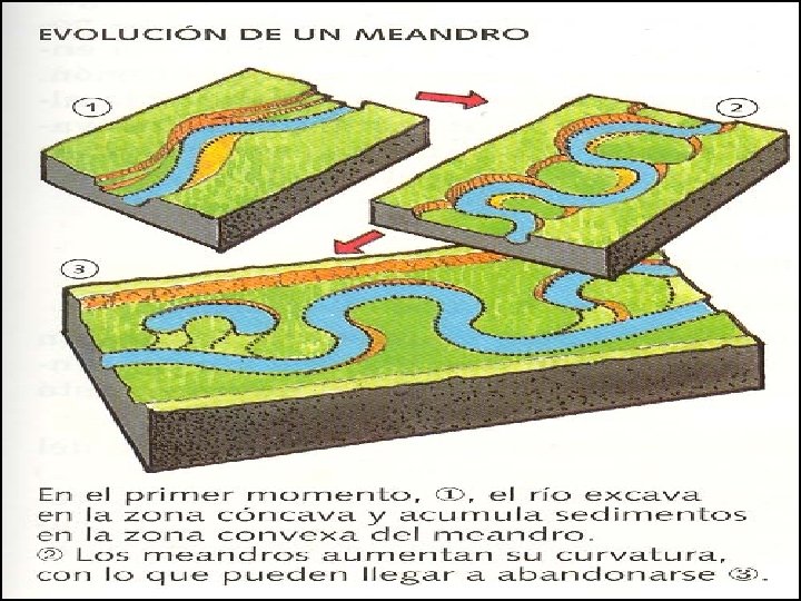 Modelado fluvial Curso medio y bajo Andrea Sainz