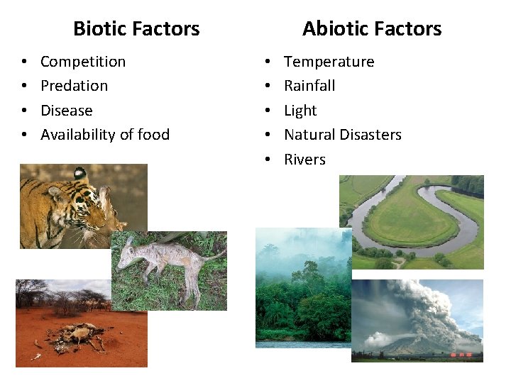 1 1 Populations and Ecosystems Varinder Singh B