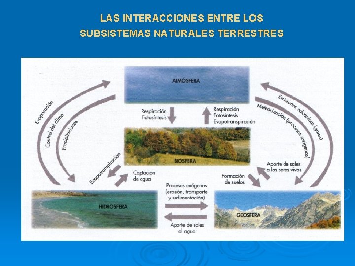 TEMA 1 INTRODUCCIN A LAS CIENCIAS AMBIENTALES 1