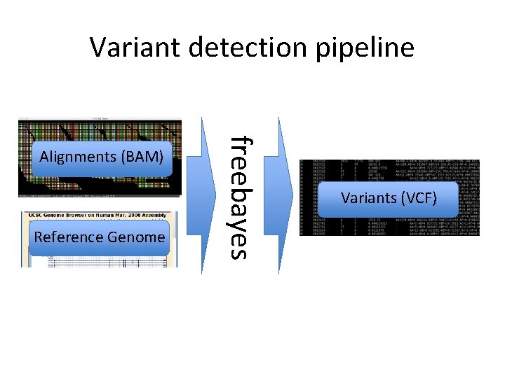 Integrated variant detection Erik Garrison Boston College Overview