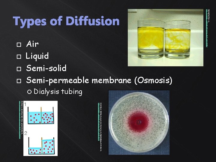 Cell Function and Diffusion How to follow Lab
