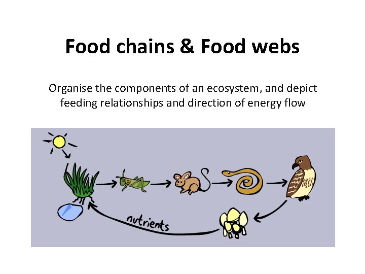 Ecosystems Is a biological community of interacting living