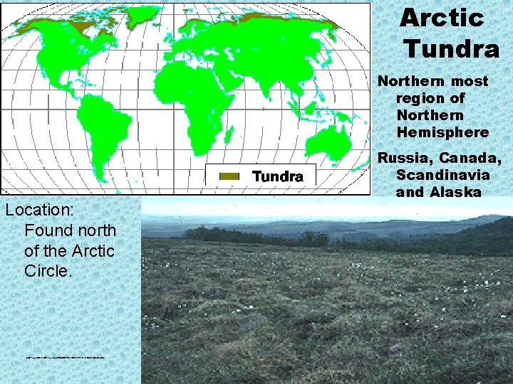 World Biomes ClimatogramsClimatographs Graphs that summarize ...