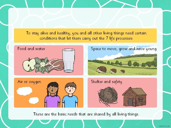 Living Things and Their Habitats Year One I