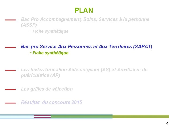 PLAN Bac Pro Accompagnement Soins Services la personne