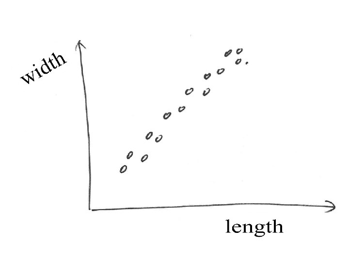 Relationship between two continuous variables correlations and linear