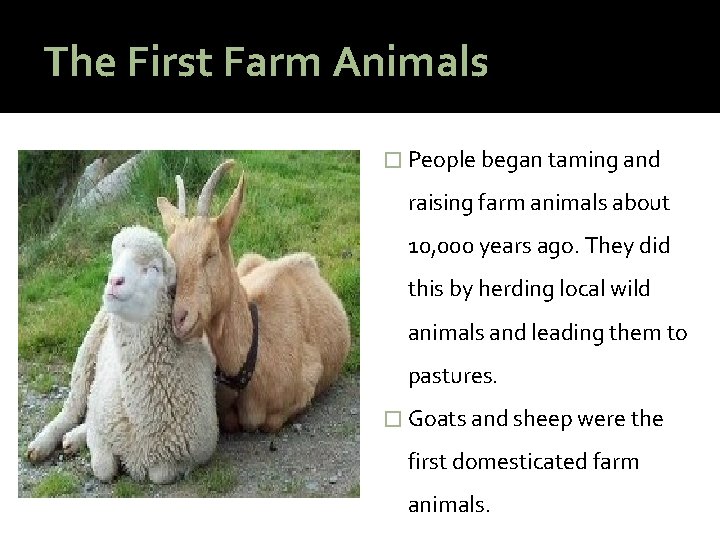 6 th Grade UBD Unit 2 Neolithic Revolution