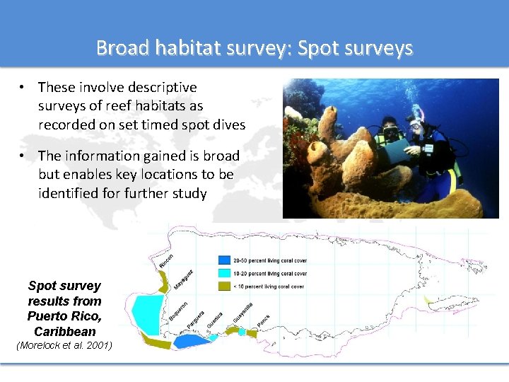 WALLACE RESOURCE LIBRARY Lecture 05 How to Survey