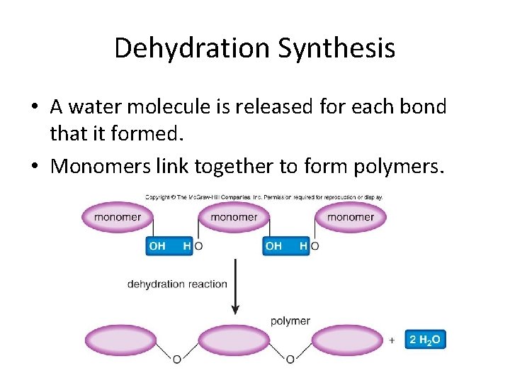 Biochemistry The Building Blocks of Life Atoms Molecules