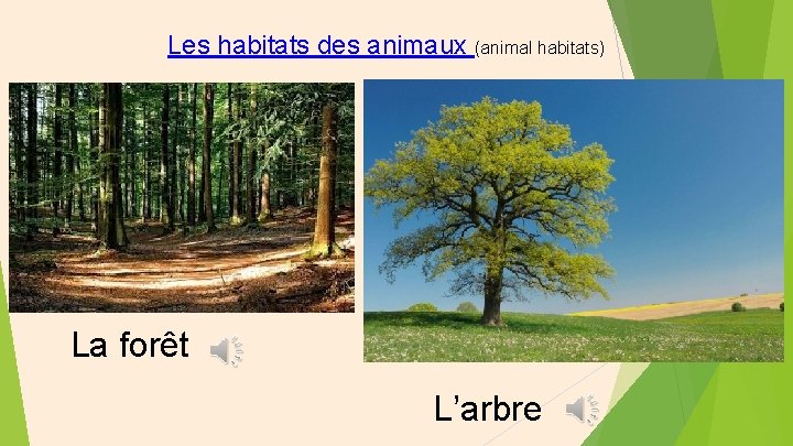 FRENCH LESSON 3 BONJOUR Y 1 s Learning