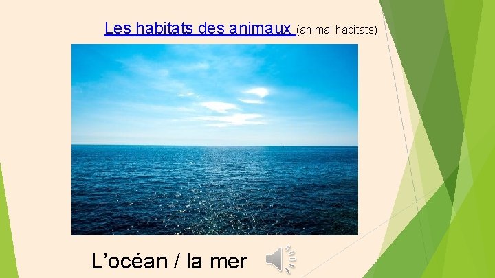 FRENCH LESSON 3 BONJOUR Y 1 s Learning