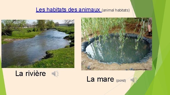 FRENCH LESSON 3 BONJOUR Y 1 s Learning