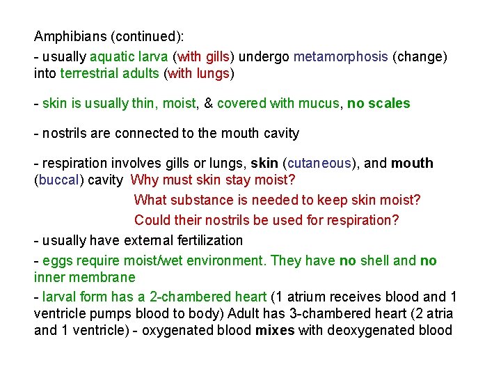 Amphibians Reptiles Objectives 1 Distinguish between ectotherms endotherms