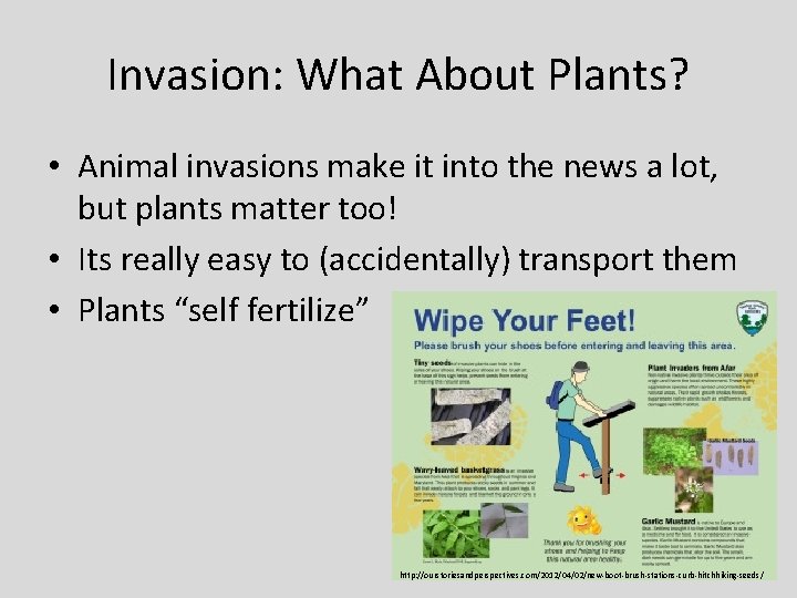 Invasion Biodiversity and Conservation What Are They and