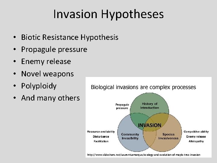 Invasion Biodiversity and Conservation What Are They and