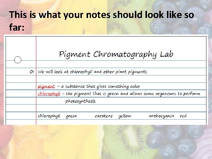 Pigment Chromatography Lab Diagram photosynthesis on your paper