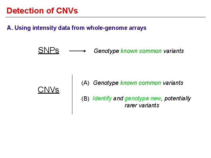 Copy Number Variants detection and analysis Manuel Ferreira