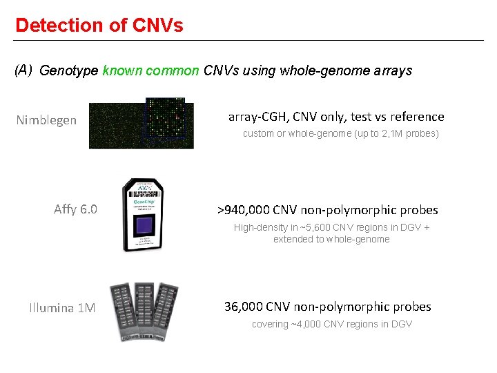 Copy Number Variants detection and analysis Manuel Ferreira
