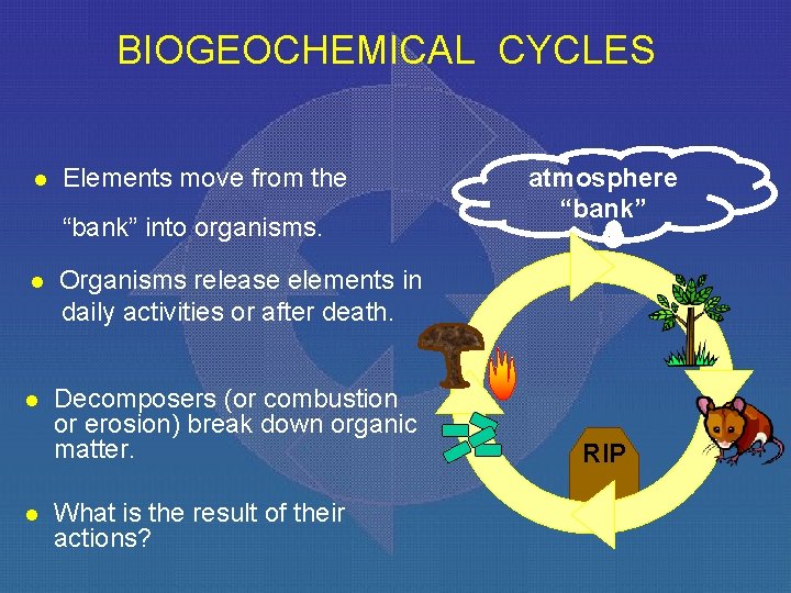Cycles of Matter Chapter 3 The Biosphere Section