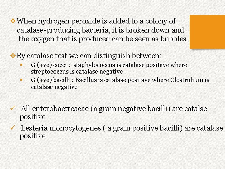 Enzymes v In the microbiology lab biochemical test