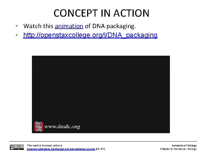 Concepts of Biology Molecular Biology This work is