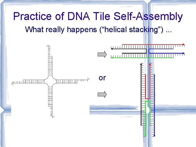 DNA 17 Tutorial Theory of Algorithmic Self Assembly