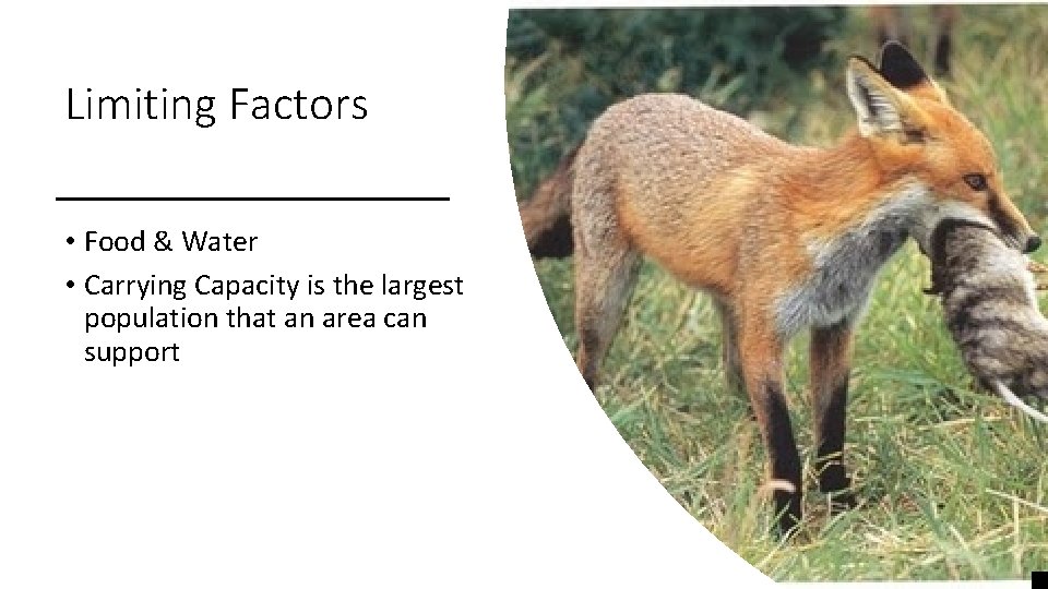 Living Things the Environment Populations are affected by