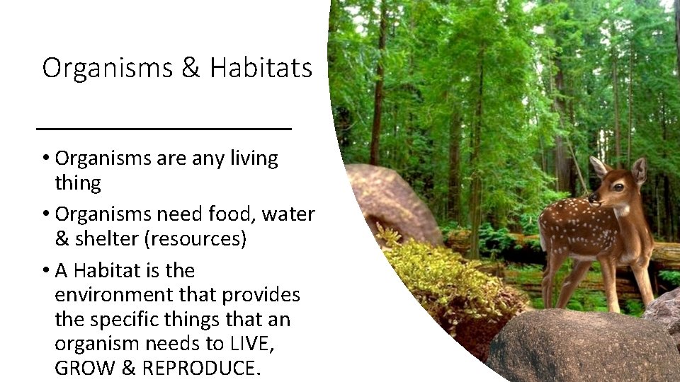 Living Things the Environment Populations are affected by