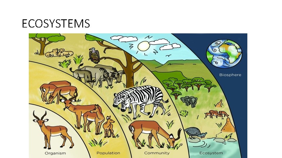 Living Things the Environment Populations are affected by